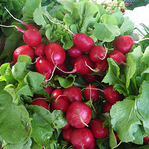 Olera Organic Farm - BC Farm Fresh