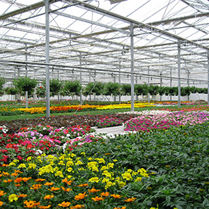 Welcome To BCFarmFresh.com - BC Farm Fresh