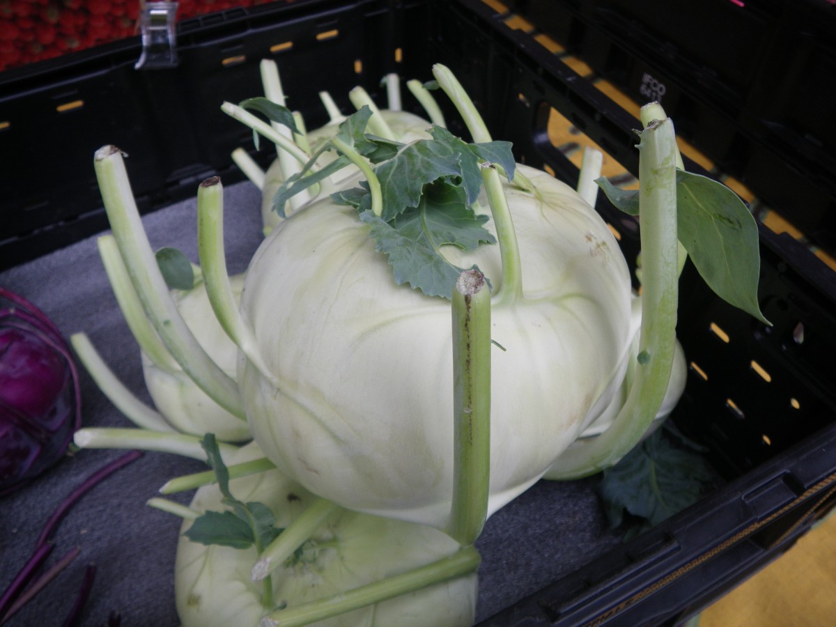Kohlrabi - space alien or vegetable? - BC Farm Fresh